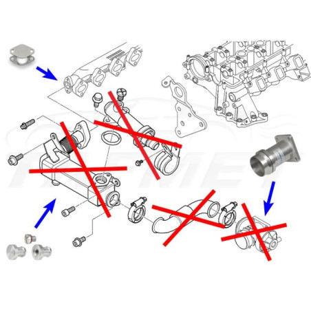 KIT SUPPRESSION VANNE EGR BMW E46 E60 E61 E65 X5 E53 M57N